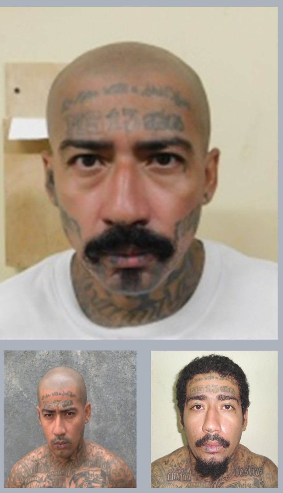 Ministerio de Seguridad Pública y Justicia